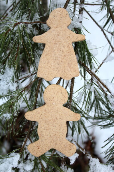 Pepperkakker (Norwegian Gingerbread) - Adamant Kitchen
