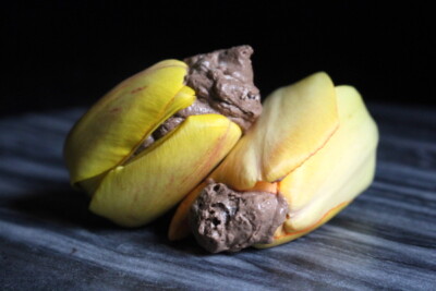 Edible Tulips with Chocolate Mousse - Adamant Kitchen