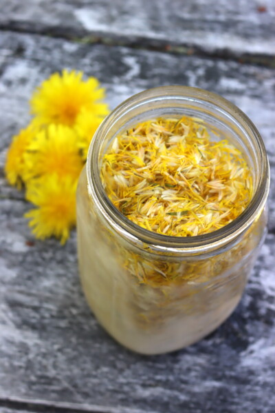 Dandelion Liqueur (or Cordial) - Adamant Kitchen