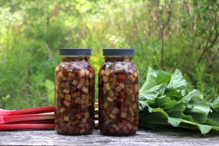 Rhubarb Liqueur - Adamant Kitchen
