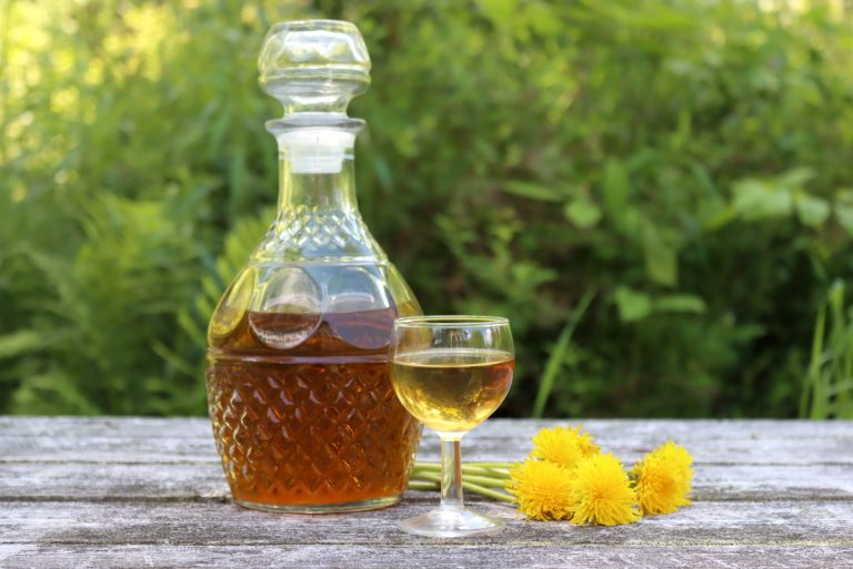 Dandelion Liqueur (or Cordial) - Adamant Kitchen