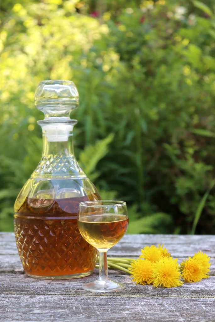 Dandelion Liqueur (or Cordial) - Adamant Kitchen