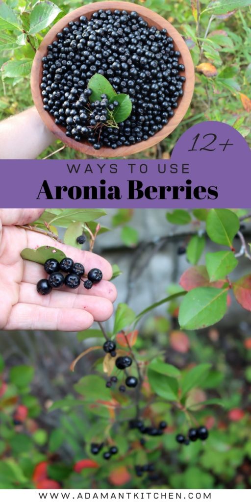 20+ Aronia Recipes - Adamant Kitchen