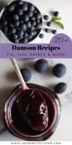 30+ Damson Recipes - Adamant Kitchen