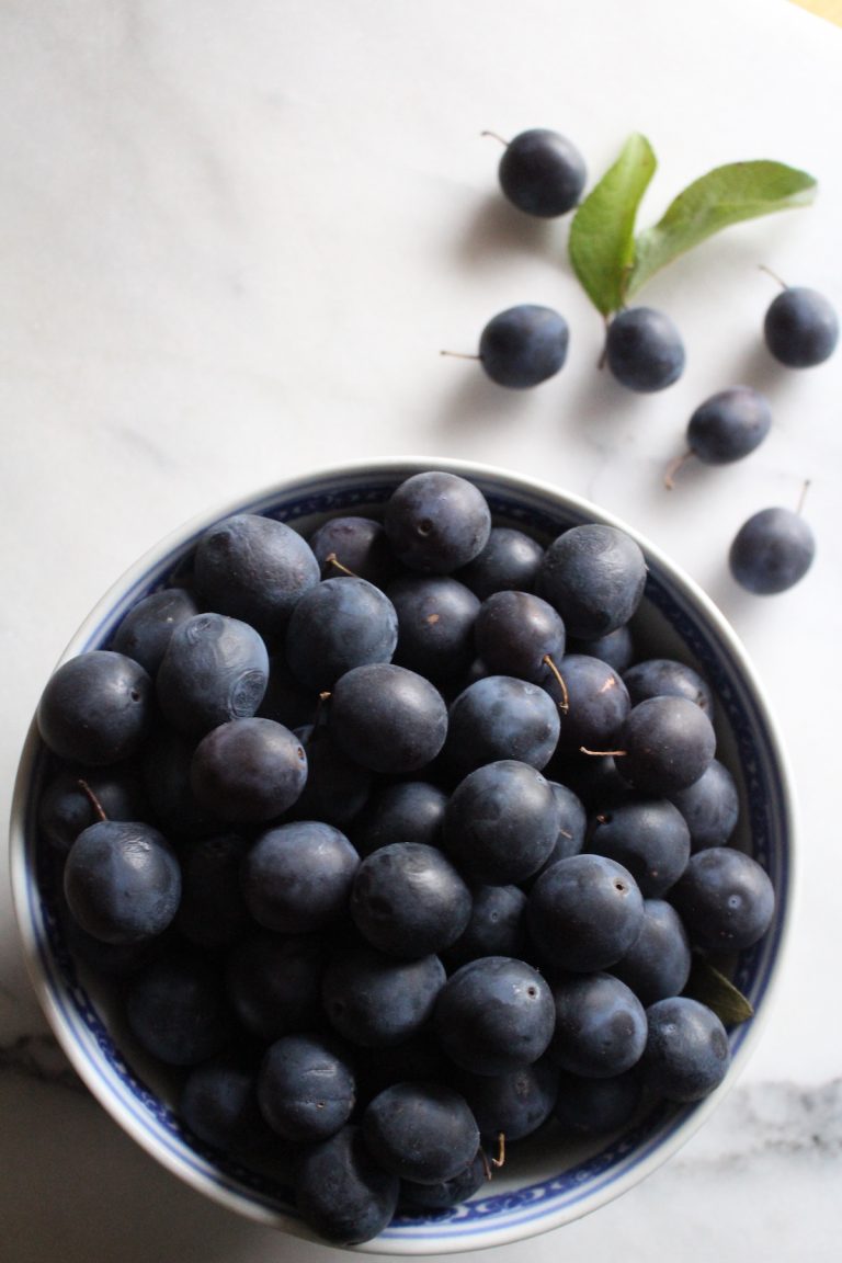 30+ Damson Recipes - Adamant Kitchen