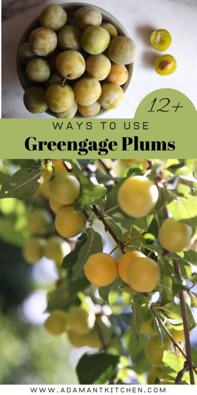 20+ Greengage Recipes - Adamant Kitchen
