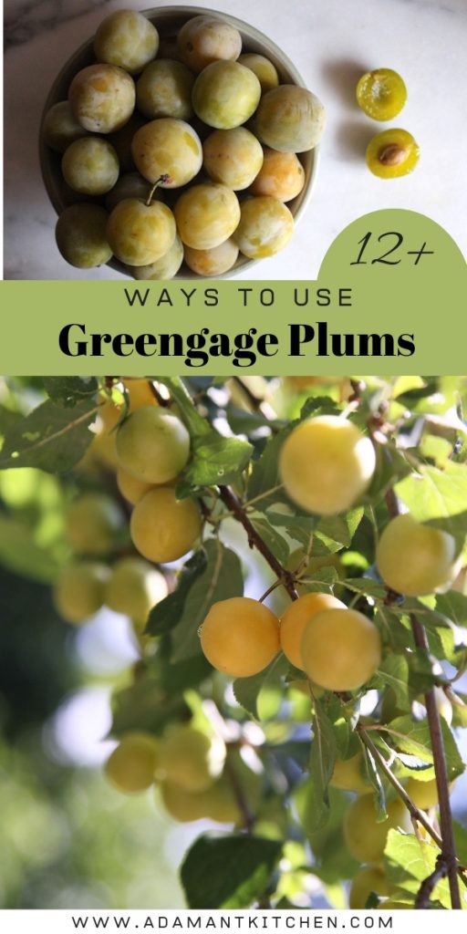 20+ Greengage Recipes - Adamant Kitchen