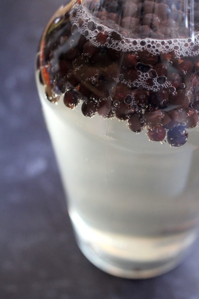 Smreka (Balkan Juniper Soda) - Adamant Kitchen