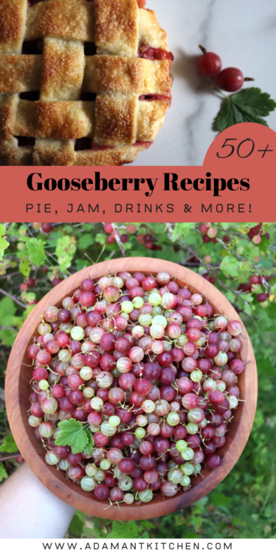 70+ Gooseberry Recipes - Adamant Kitchen
