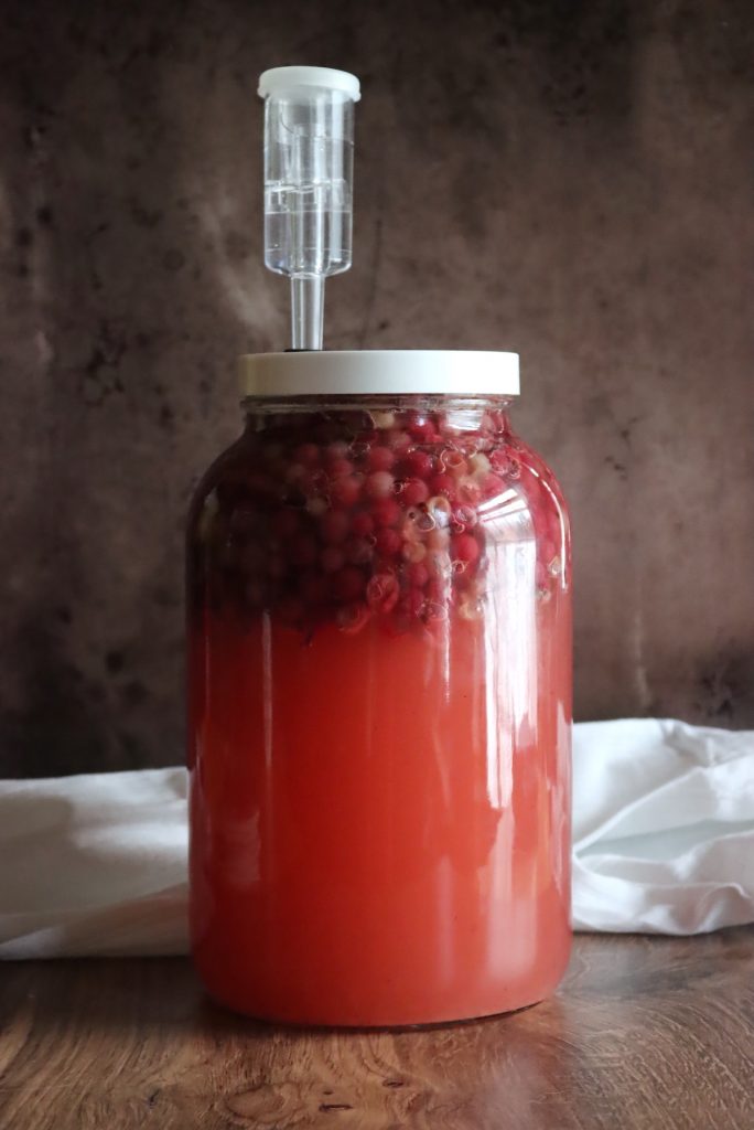 70+ Gooseberry Recipes - Adamant Kitchen