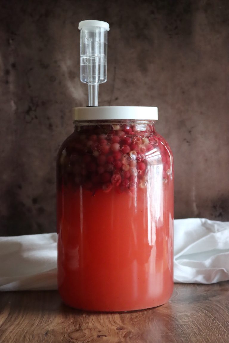 70+ Gooseberry Recipes - Adamant Kitchen