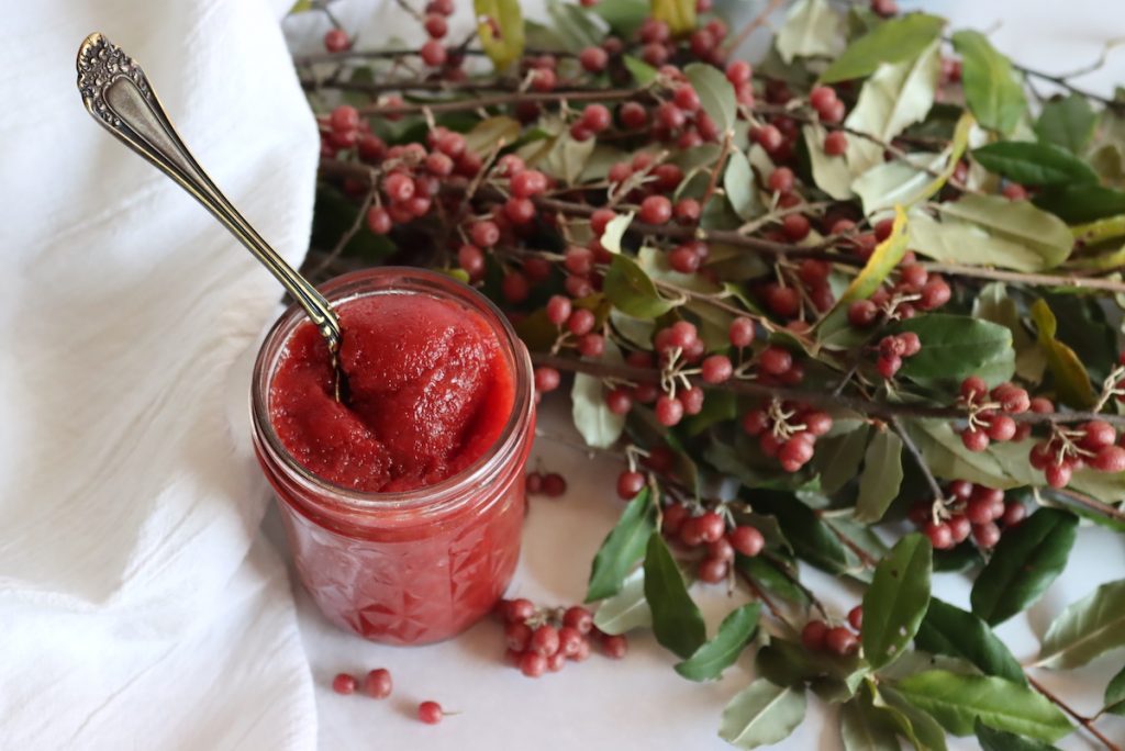 12+ Autumn Olive Recipes - Adamant Kitchen