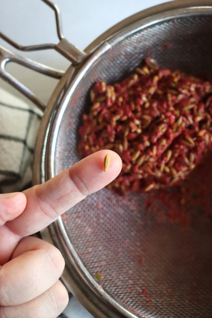 12+ Autumn Olive Recipes - Adamant Kitchen