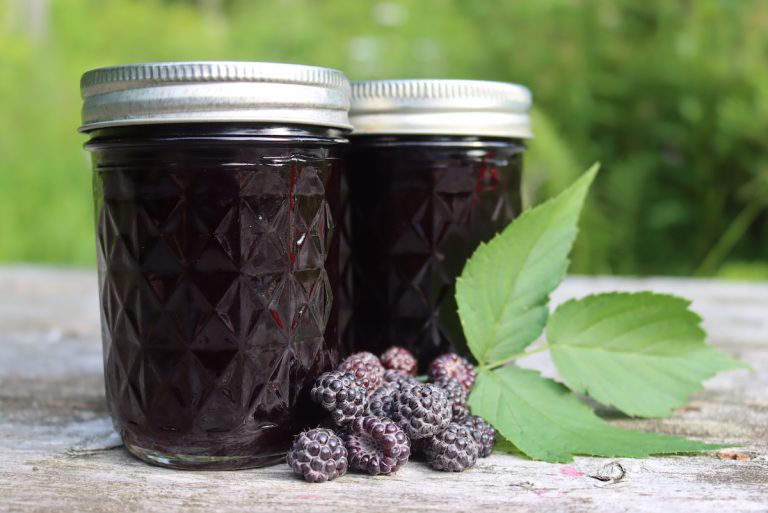 30+ Black Raspberry Recipes - Adamant Kitchen
