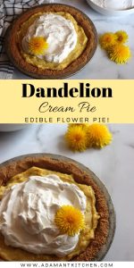 Dandelion Cream Pie (Edible Flower Pie) - Adamant Kitchen