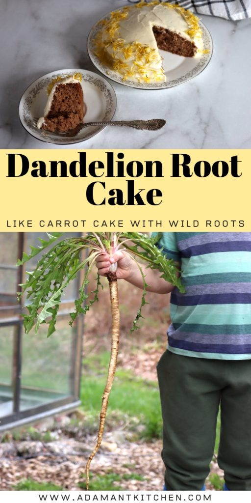Dandelion Root Cake (Like Carrot Cake) - Adamant Kitchen