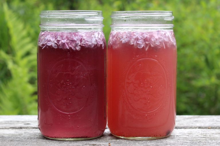 40+ Lilac Recipes - Adamant Kitchen