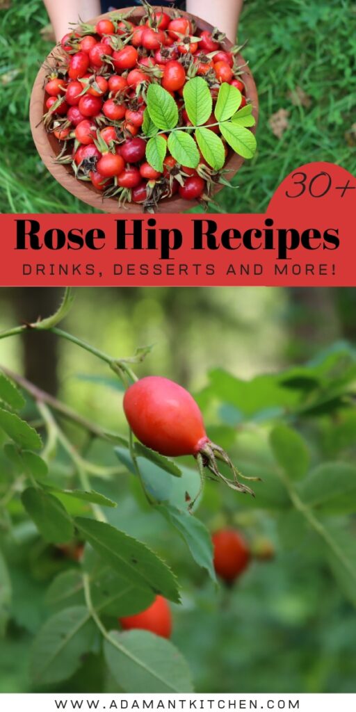 30+ Rose Hip Recipes - Adamant Kitchen