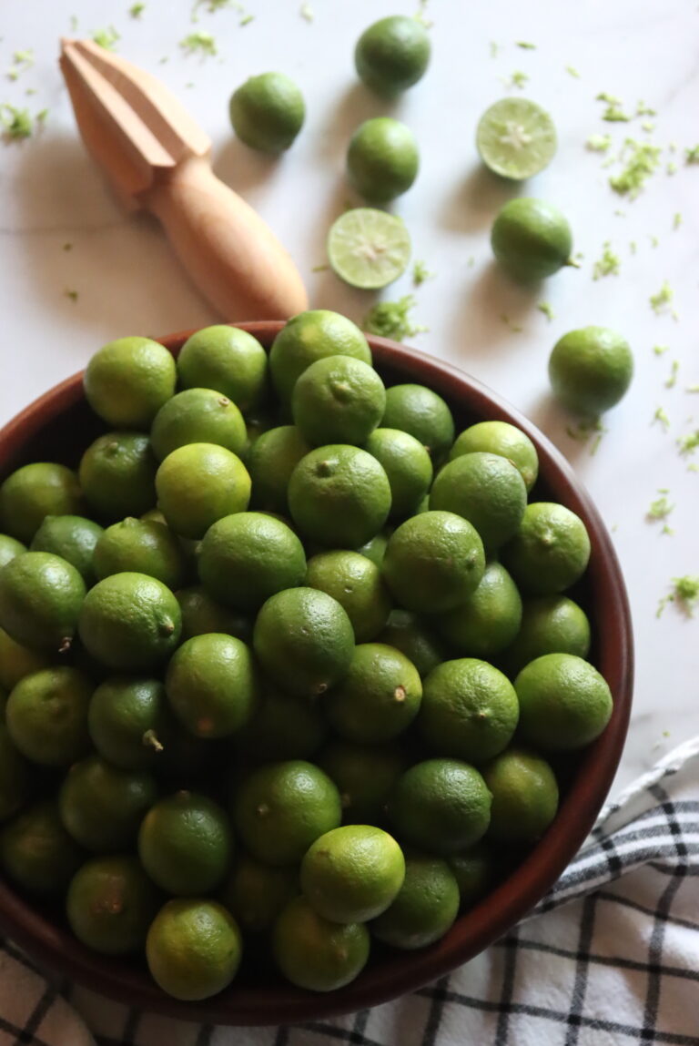 60+ Key Lime Recipes - Adamant Kitchen