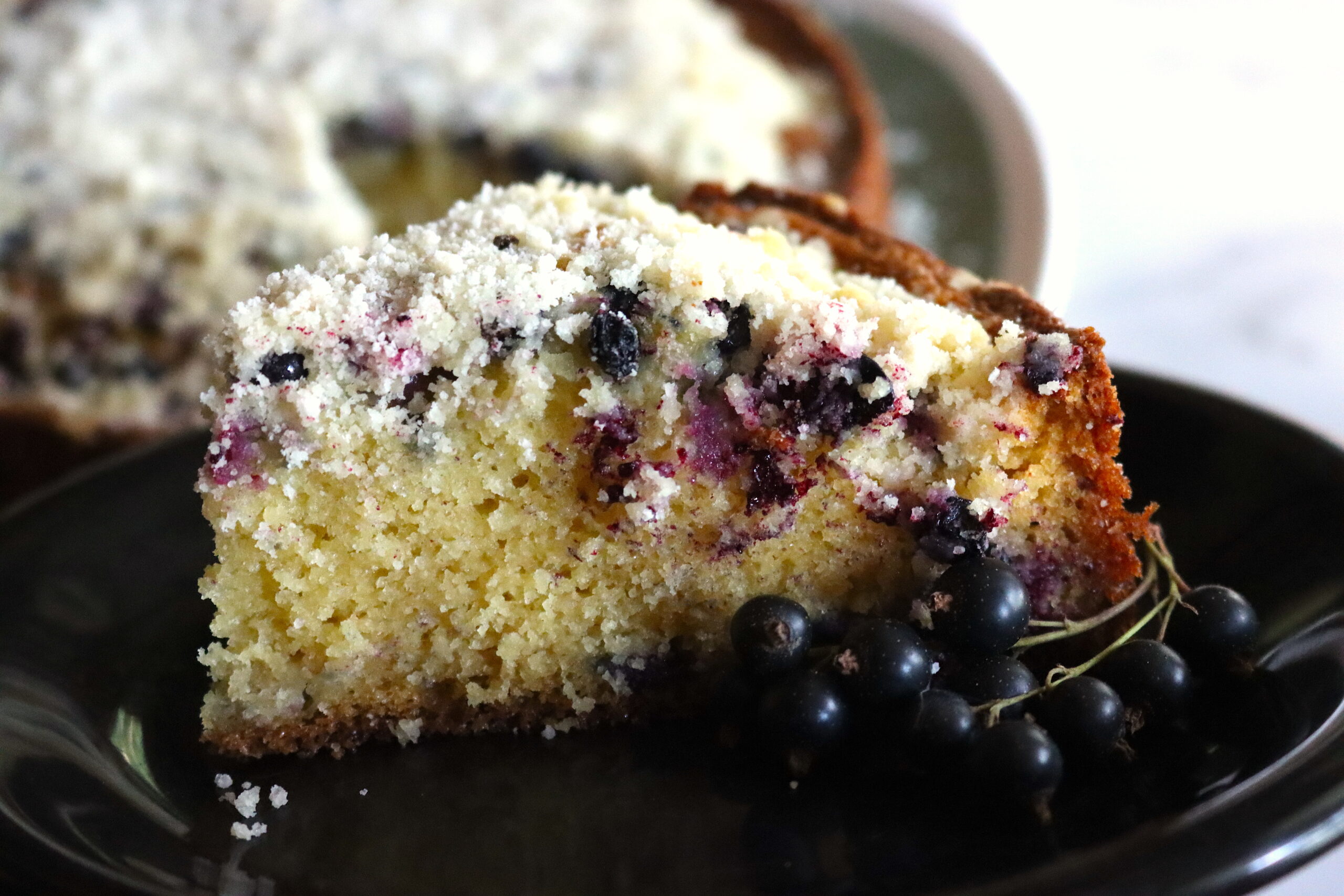 Blackcurrant Cake - Adamant Kitchen