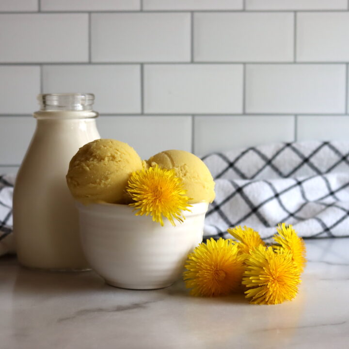 Dandelion & Honey Ice Cream - Adamant Kitchen