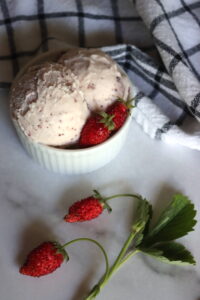 Alpine Strawberry Ice Cream - Adamant Kitchen