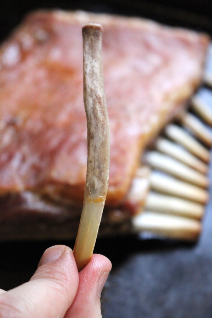 Oven Roasted Goat Ribs - Adamant Kitchen