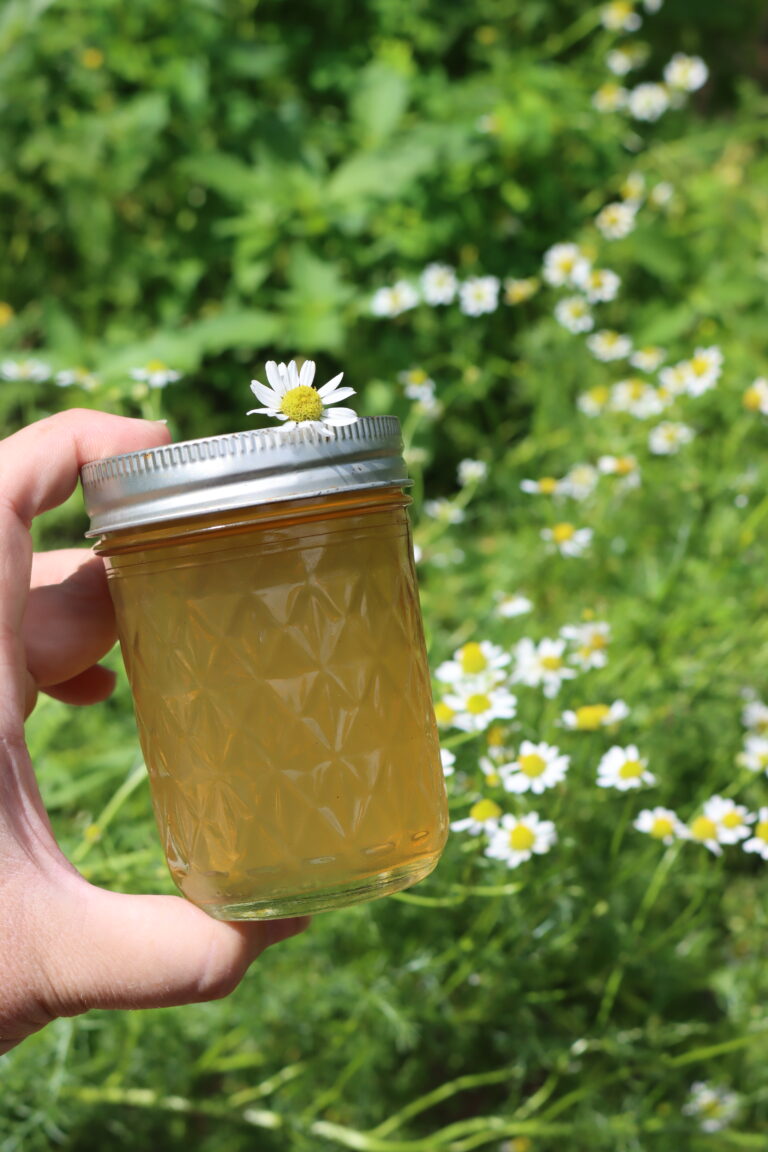 60+ Chamomile Recipes (More than just tea!) - Adamant Kitchen