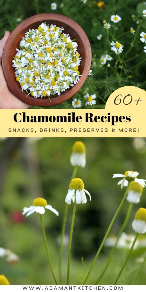 60+ Chamomile Recipes (More than just tea!) - Adamant Kitchen