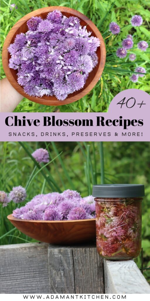 30+ Chive Blossom Recipes - Adamant Kitchen