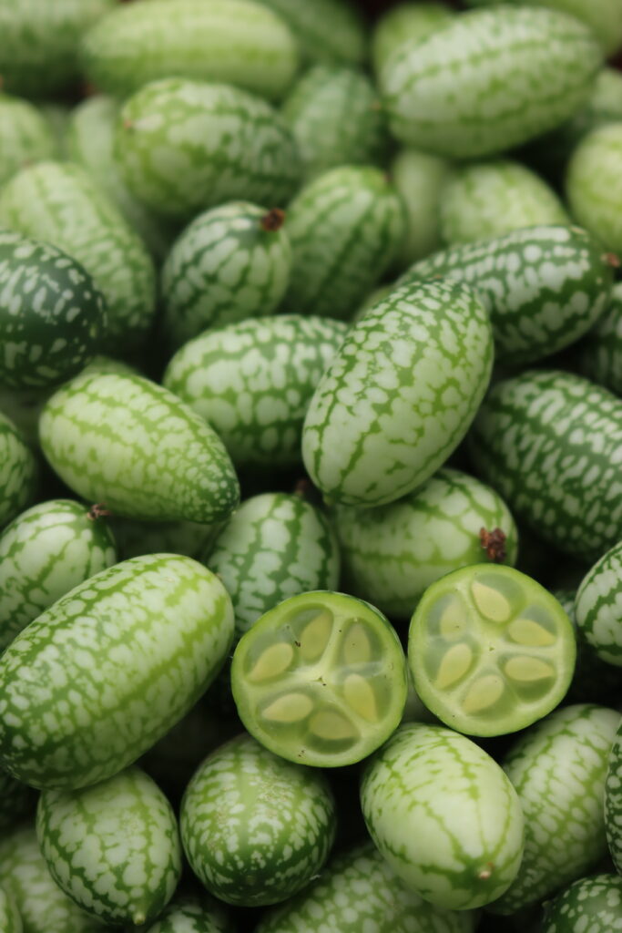 30+ Cucamelon Recipes (Tiny "Mouse Melon" Cucumbers) - Adamant Kitchen