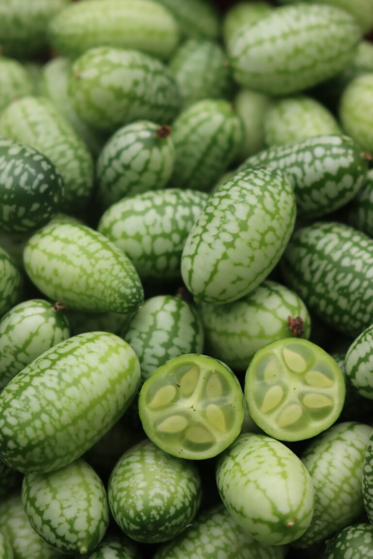 30+ Cucamelon Recipes (Tiny "Mouse Melon" Cucumbers) - Adamant Kitchen