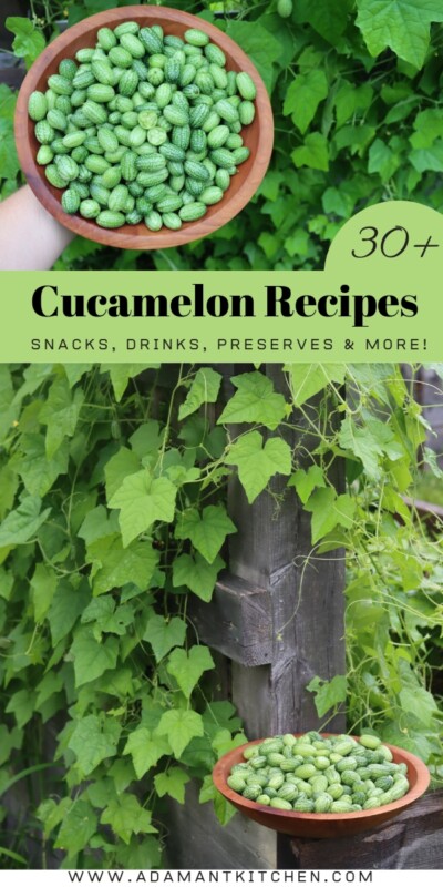 30+ Cucamelon Recipes (Tiny "Mouse Melon" Cucumbers) - Adamant Kitchen
