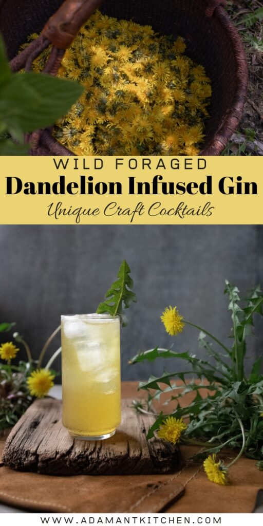 Dandelion Infused Gin - Adamant Kitchen