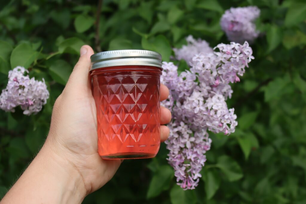 40+ Lilac Recipes - Adamant Kitchen