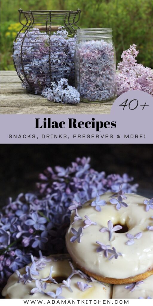 40+ Lilac Recipes - Adamant Kitchen