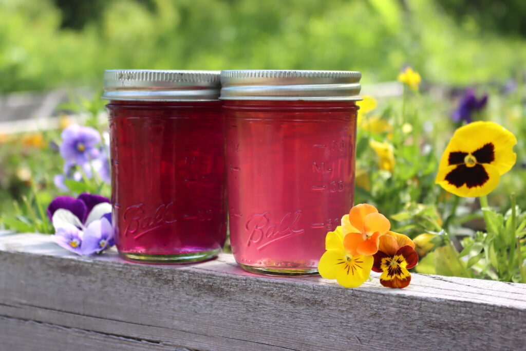 40+ Pansy Recipes (Yes, Pansies are edible!) - Adamant Kitchen