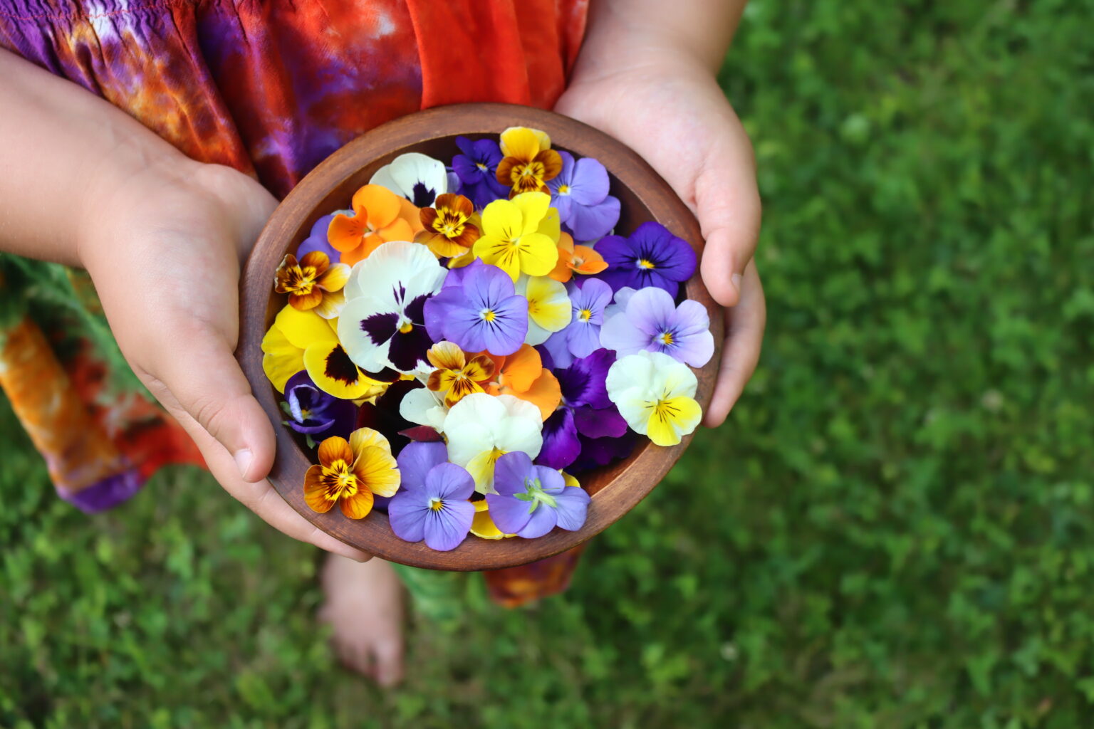 40+ Pansy Recipes (Yes, Pansies are edible!) - Adamant Kitchen