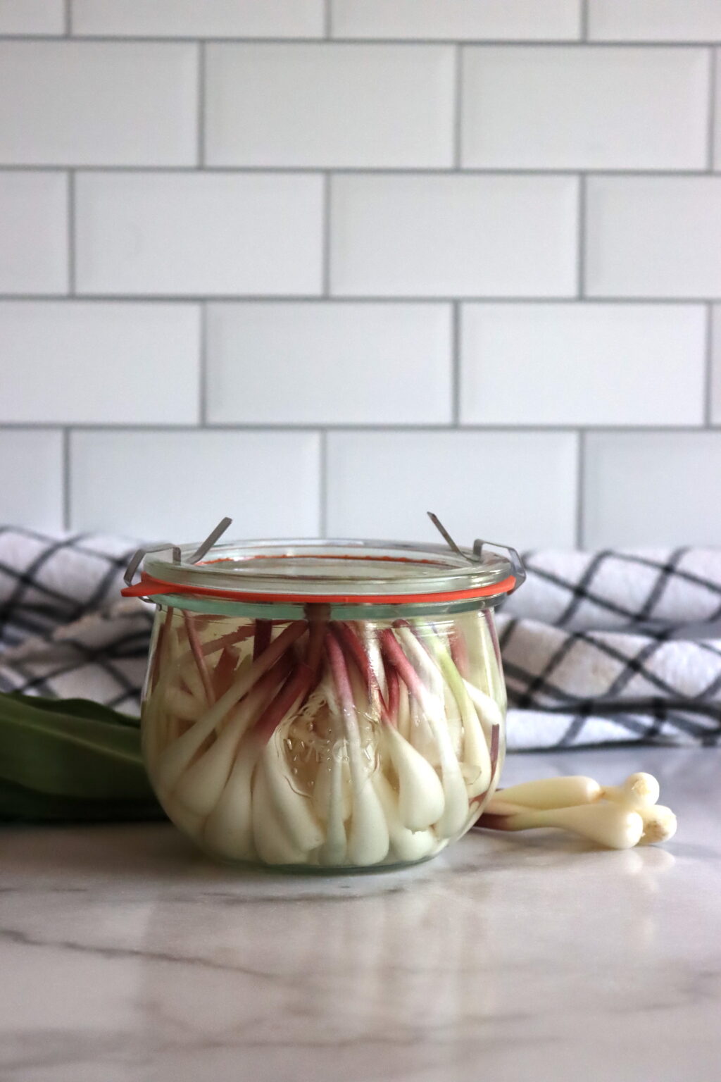 50+ Ramp Recipes (Wild Leeks) - Adamant Kitchen