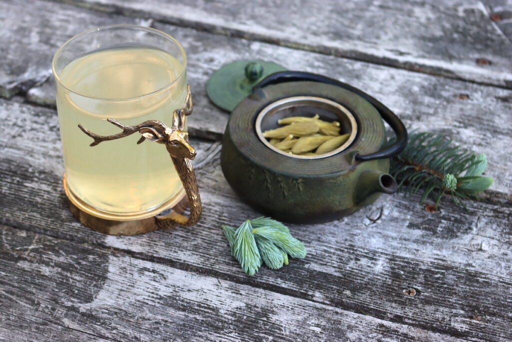 50+ Spruce Tip Recipes - Adamant Kitchen