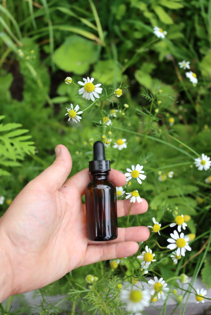 60+ Chamomile Recipes (More than just tea!) - Adamant Kitchen