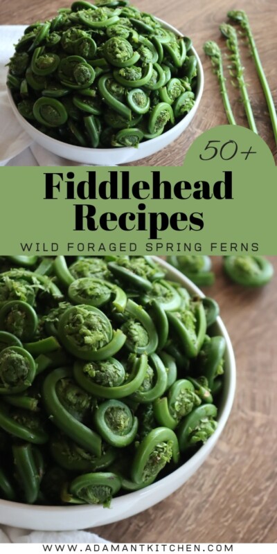 50+ Fiddlehead Recipes (Wild Foraged Spring Ferns) - Adamant Kitchen
