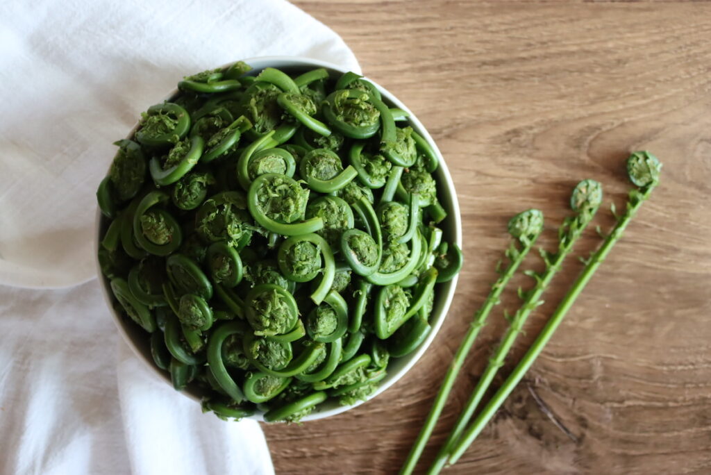 50+ Fiddlehead Recipes (Wild Foraged Spring Ferns) - Adamant Kitchen