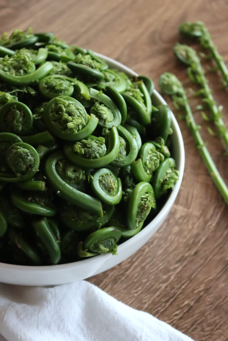 50+ Fiddlehead Recipes (Wild Foraged Spring Ferns) - Adamant Kitchen