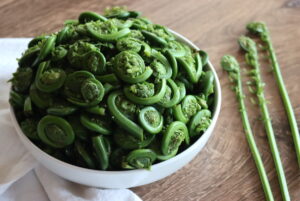 50+ Fiddlehead Recipes (Wild Foraged Spring Ferns) - Adamant Kitchen