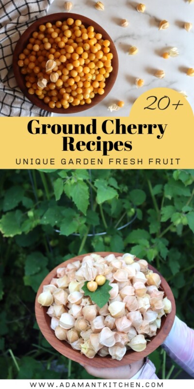 20+ Ground Cherry Recipes (Husk Cherries) - Adamant Kitchen