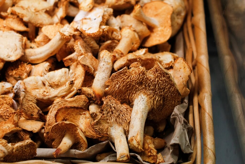 40+ Hedgehog Mushroom Recipes - Adamant Kitchen