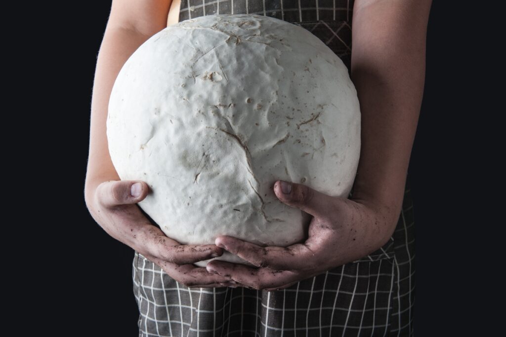 40+ Puffball Mushroom Recipes - Adamant Kitchen