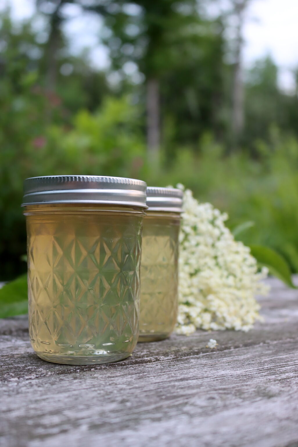50+ Elderflower Recipes - Adamant Kitchen