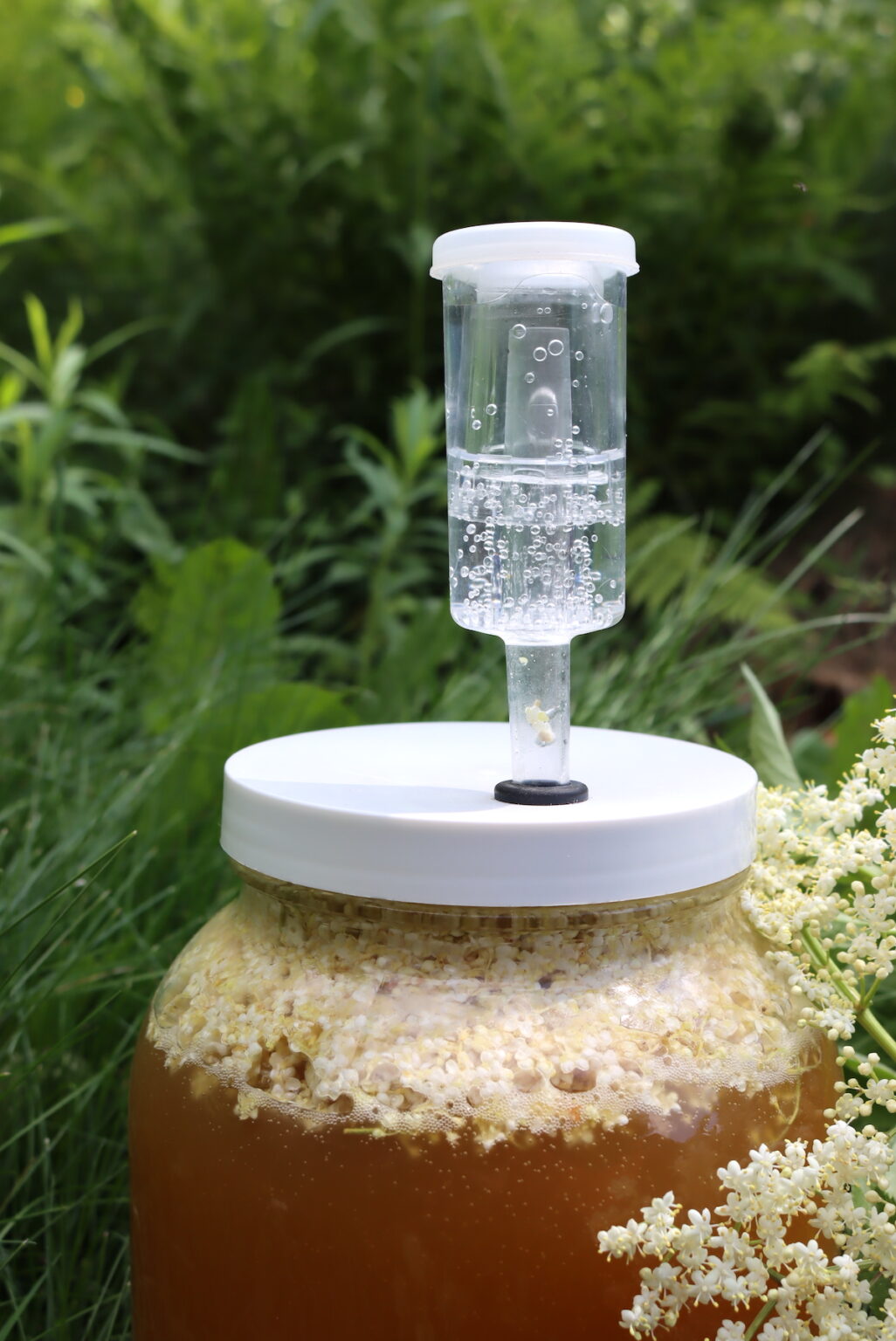 50+ Elderflower Recipes - Adamant Kitchen